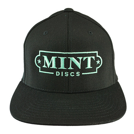 Flexfit Hat w/ Mint Logo (Snap-Back) – Mint Discs